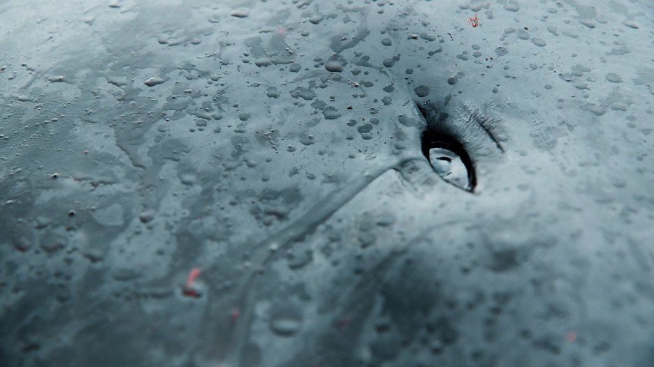Chuť velryby (2022) | Galerie - Z filmu | ČSFD.cz
