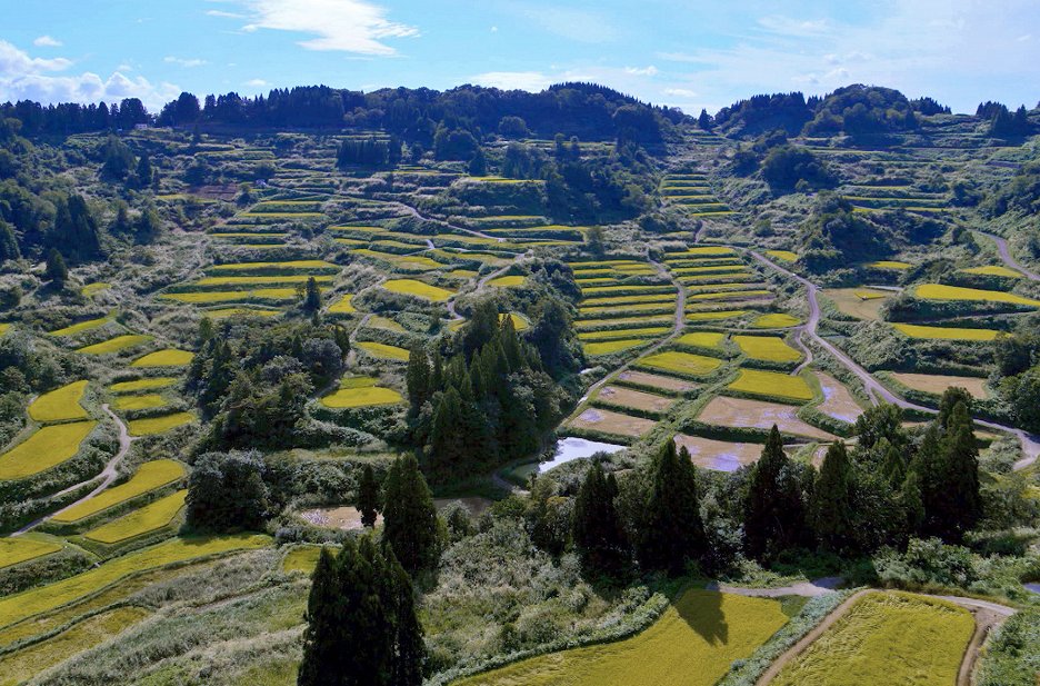 Satoyama (2022) | ČSFD.cz