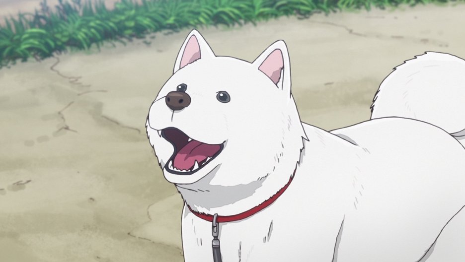 Kumamiko: Girl Meets Bear - Urahara (E05) (2016) | ČSFD.cz