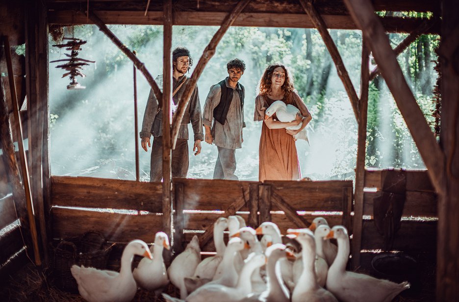 Zoran Pingel | ČSFD.cz