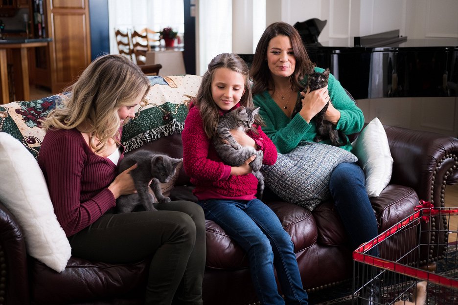 The Nine Kittens of Christmas (2021) | ČSFD.cz