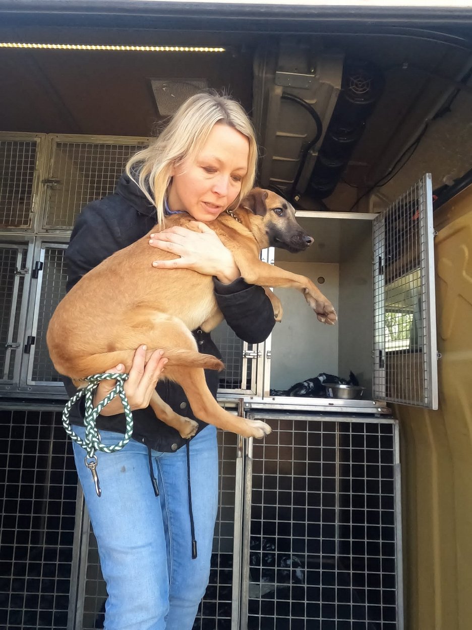 Judith Pein - Die Tierretterin im Kriegsgebiet (2022) | Galéria - Z ...