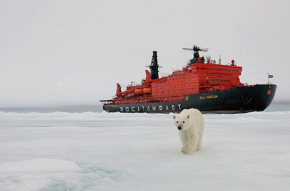 Arktida: 66,5 stupňů severní šířky (2023) | ČSFD.cz