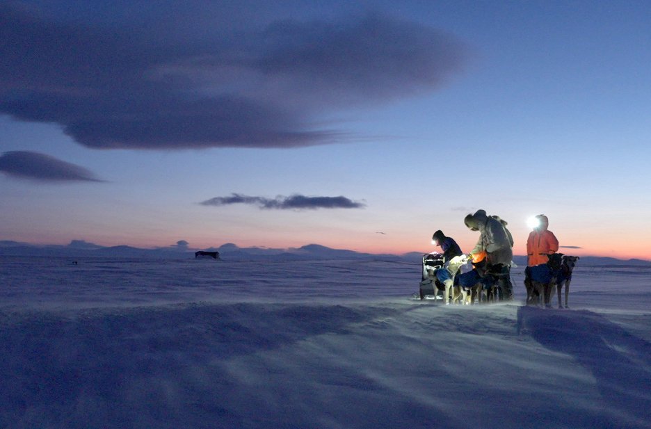 Musher, l'appel de l'Alaska (2021) | ČSFD.cz