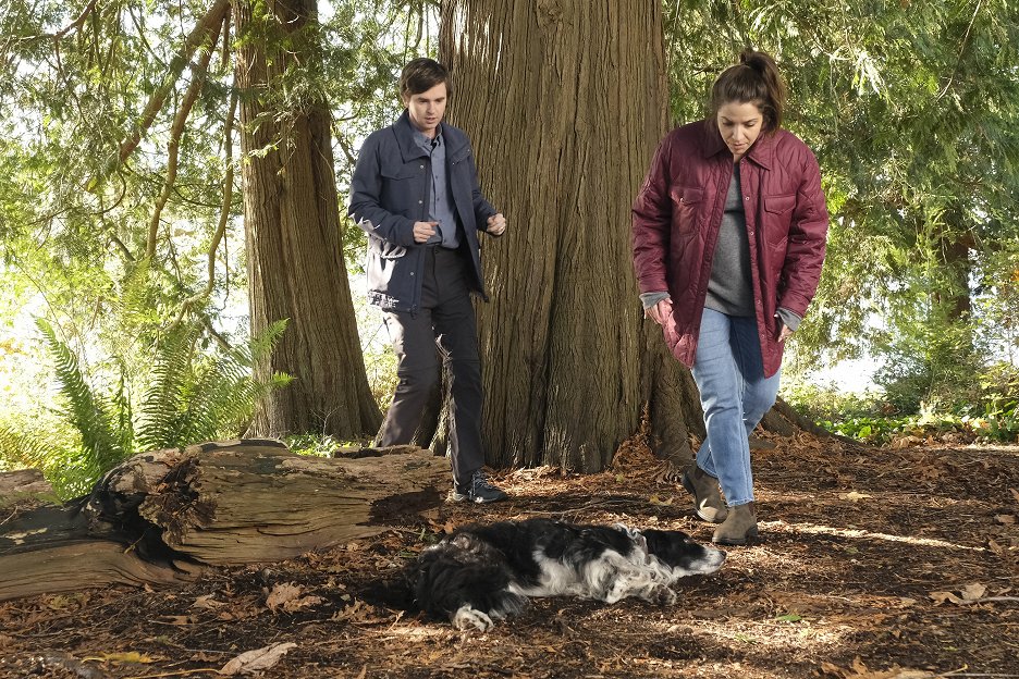 The Good Doctor - The Good Boy (S06E11) (2023) | ČSFD.cz