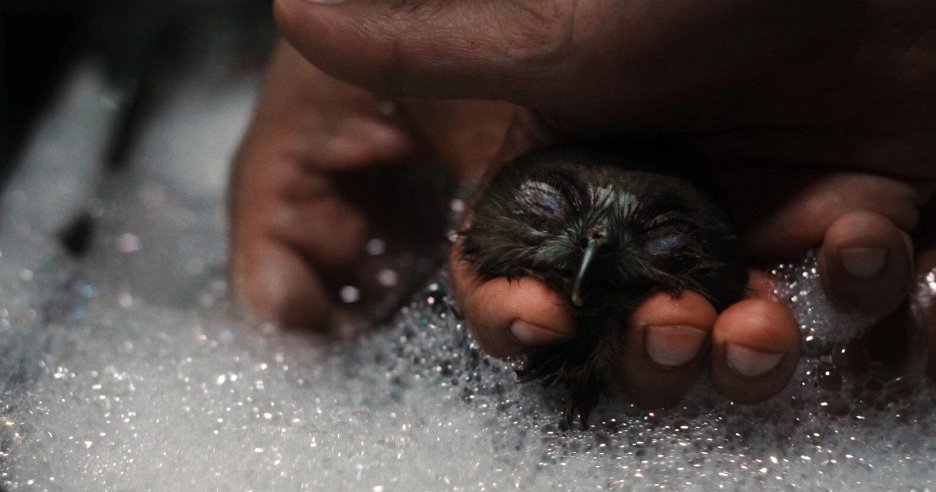 All That Breathes (2022) | ČSFD.cz