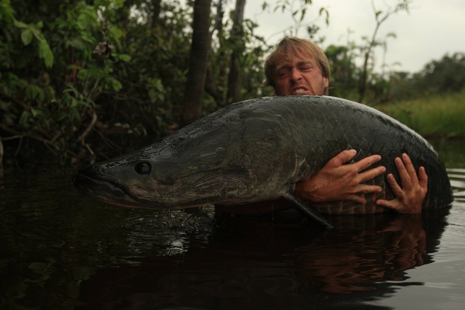 Rybí legendy Jakuba Vágnera - Arapaima gigas - Amazonie (S03E05) (2016 ...