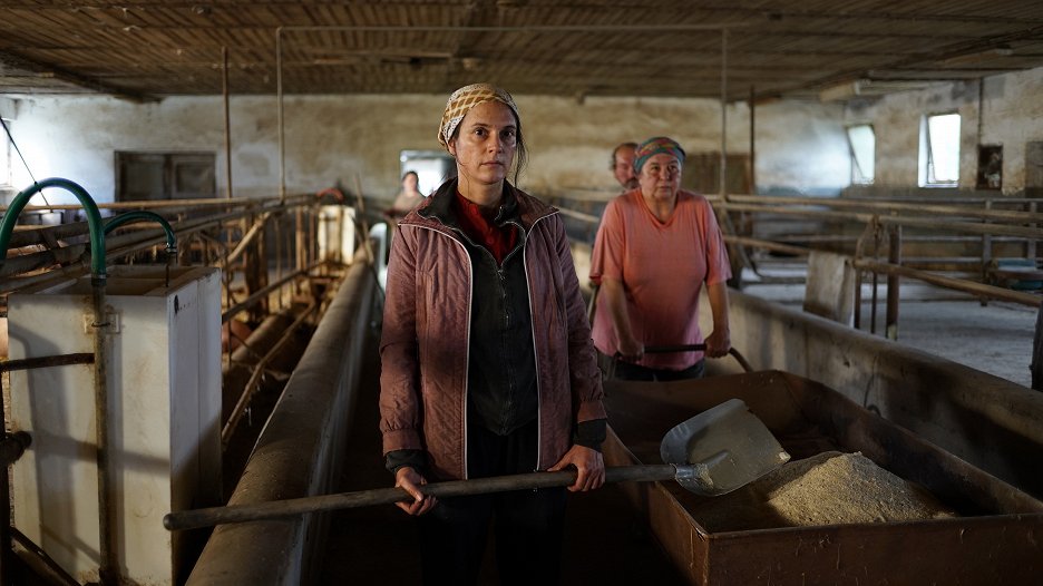 Sucho (2024) | ČSFD.sk