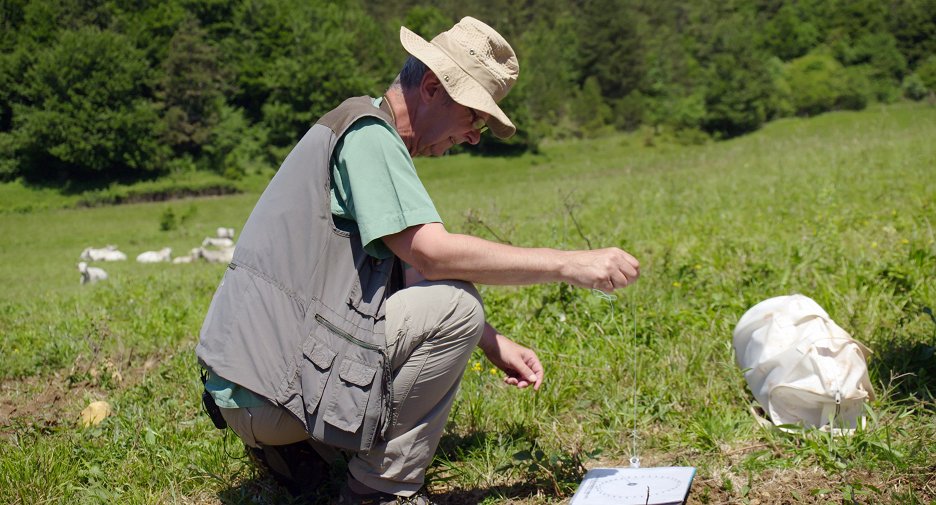 Verschwörungen - Die Wahrheit der Anderen - Reptiloide, Aliens und ...