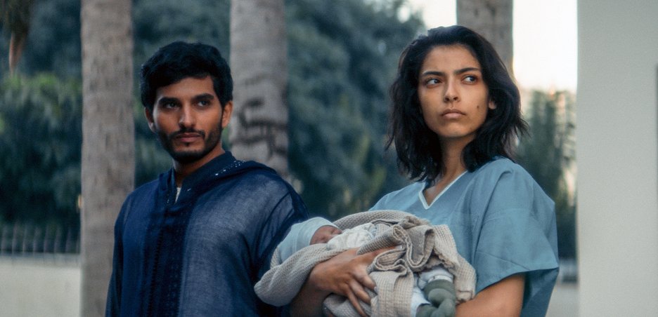 Animalia (2023) | ČSFD.cz