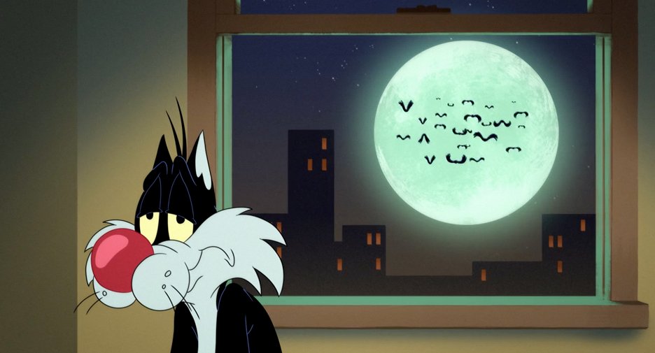 Looney Tunes: Animáky - Daffuccino / Hole Gag: Moving Hole / Kitty ...