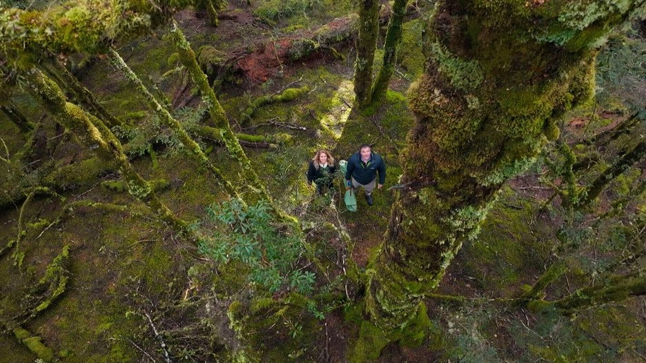 The First Inventors (2023) | ČSFD.cz