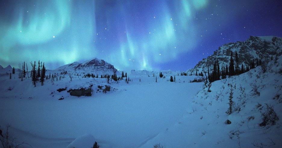 Max a Mája: Příběh lištiček (2023) | ČSFD.cz