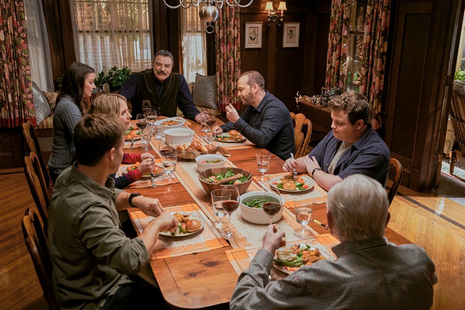 Blue Bloods - Crime Scene New York - Life During Wartime (S13E04) (2022 ...