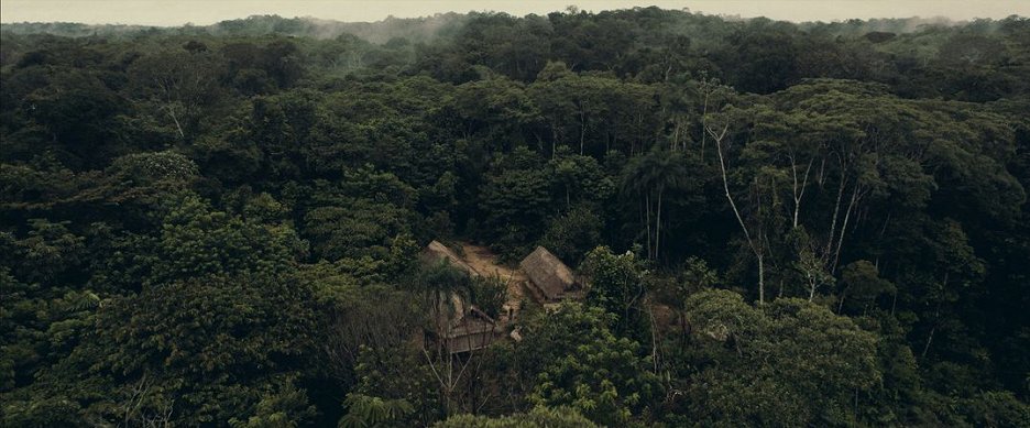 Javari (2023) | ČSFD.cz