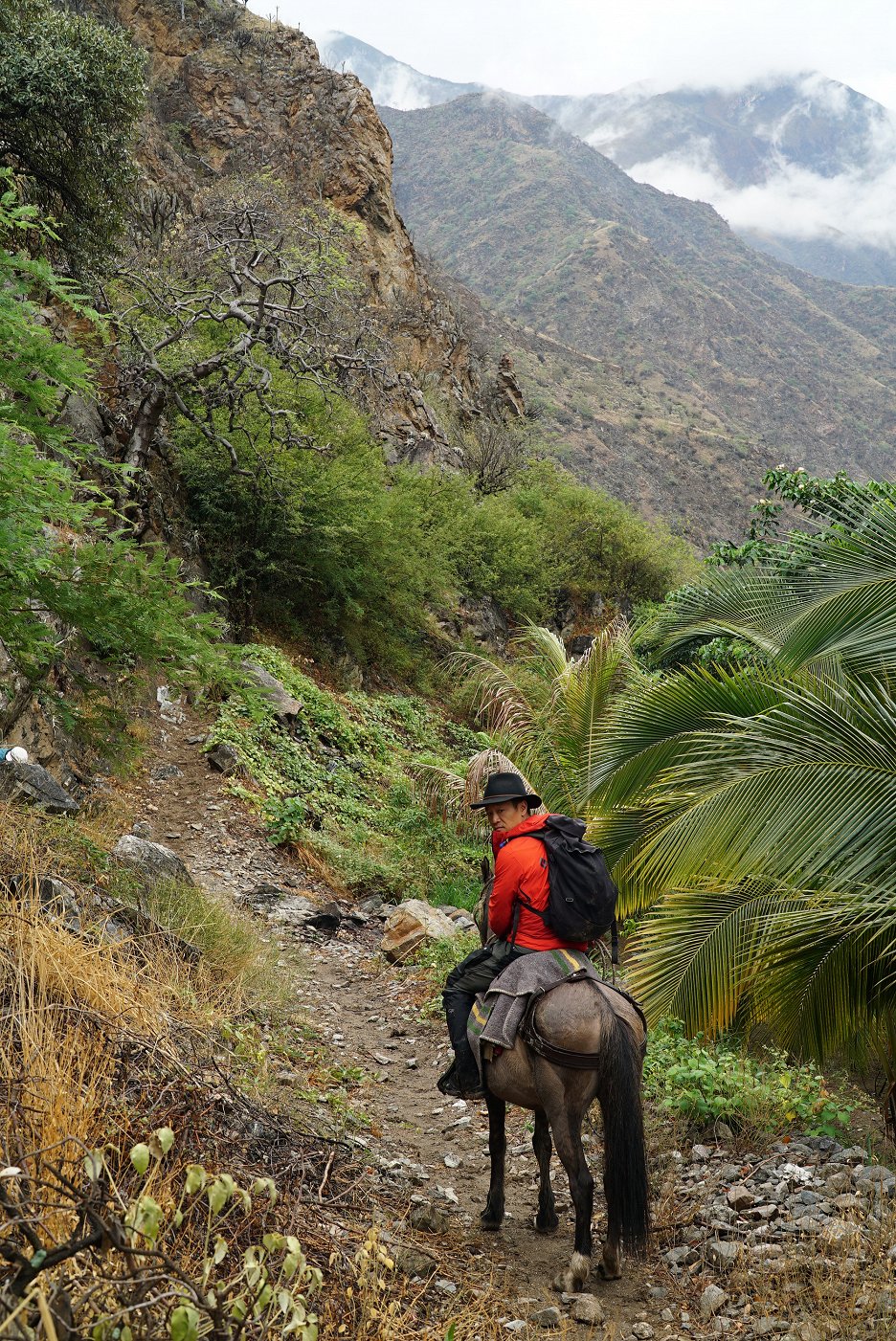 Lost Cities Revealed with Albert Lin (2023) | Creators | ČSFD.cz