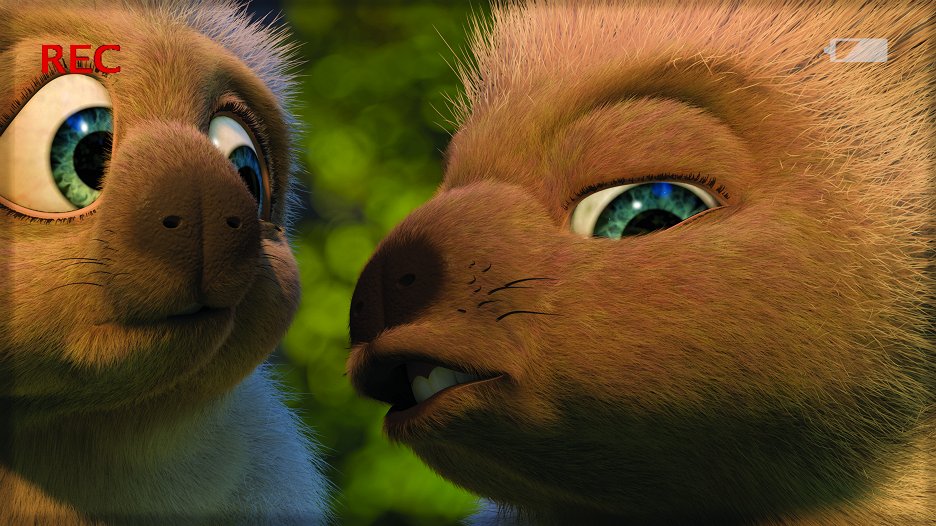 Za plotom: Nové dobrodružstvo (2006) | ČSFD.sk