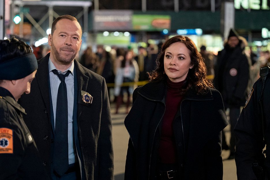 Blue Bloods - Crime Scene New York - The Naked Truth (S13E16) (2022 ...