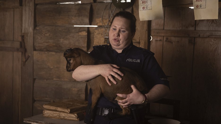 Je to na tobě (2024) | ČSFD.cz