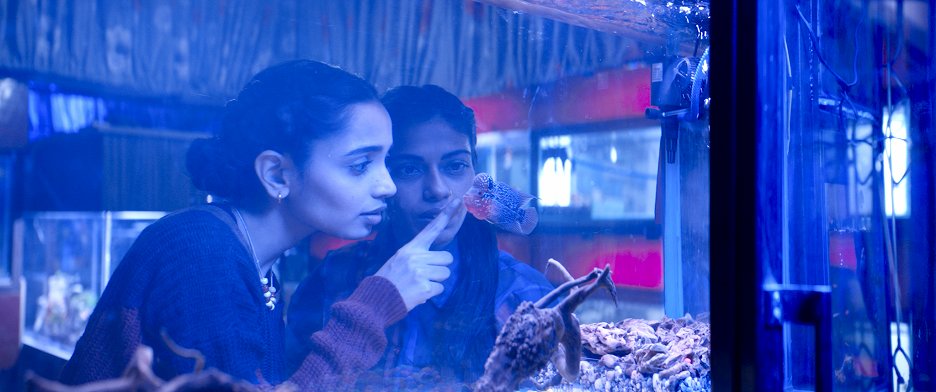 The Shameless (2024) | ČSFD.cz