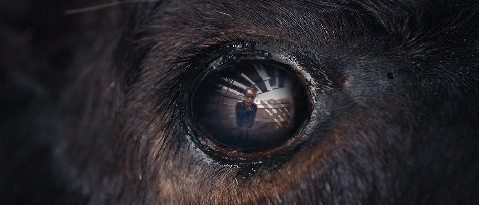 Animale (2024) | ČSFD.cz