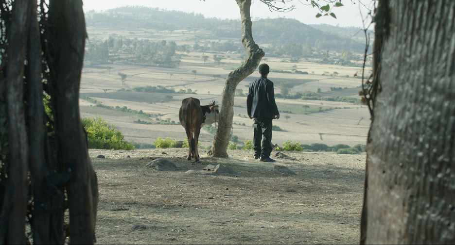 Alazar (2024) | ČSFD.cz