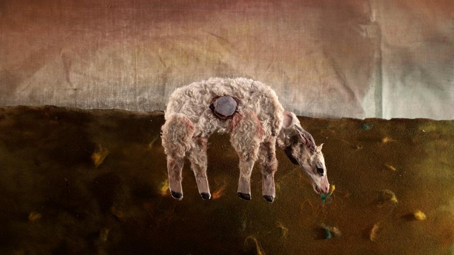 Sheep Story (2024) | ČSFD.cz