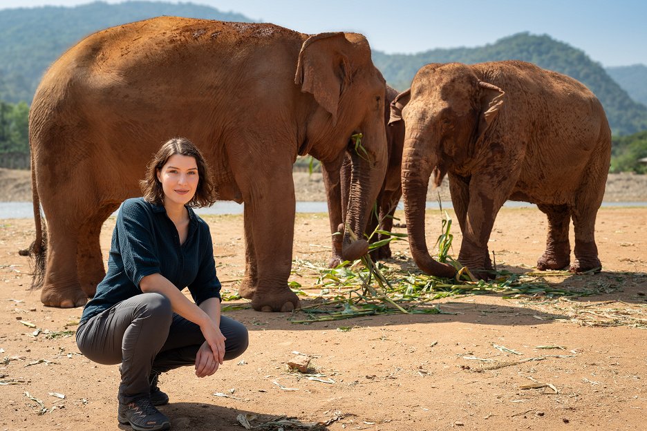 Faszination Erde - mit Hannah Emde: Thailand – Der Wildnis zu nah (2024 ...