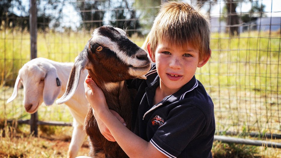 Outback Farm (2023) | ČSFD.cz