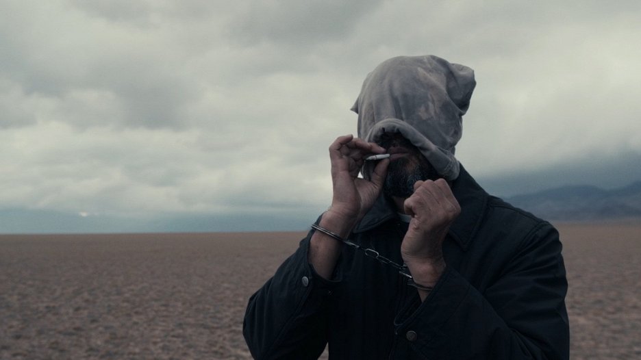 Stepný vlk (2024) | ČSFD.sk