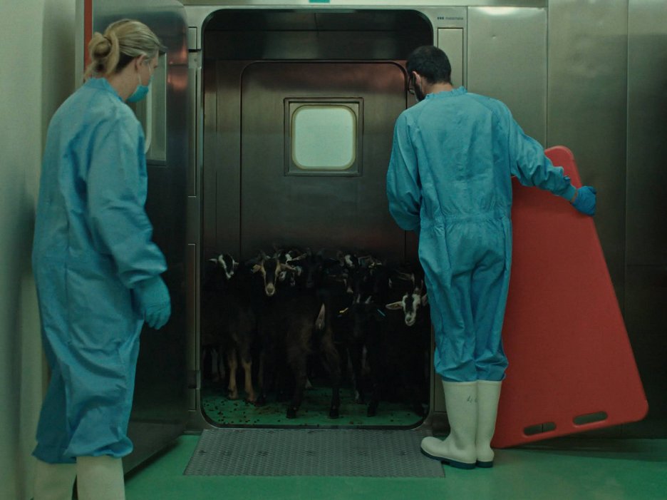 Fauna (2023) | ČSFD.cz