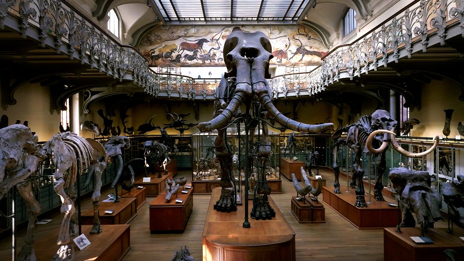 Po stopách obřího mamuta (2023) | Galerie - Z filmu | ČSFD.cz