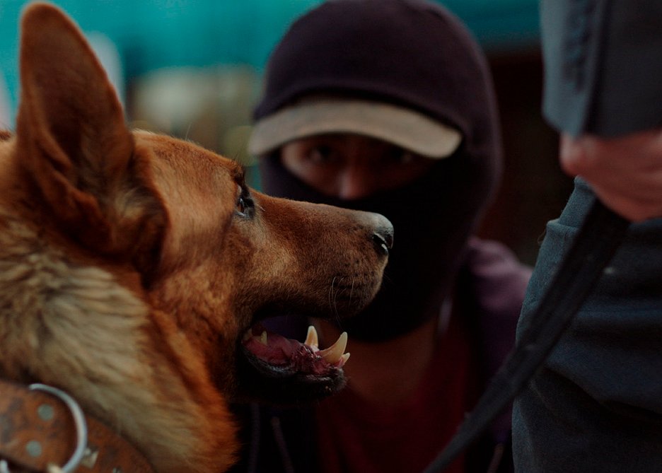 El ladrón de perros (2024) | ČSFD.cz