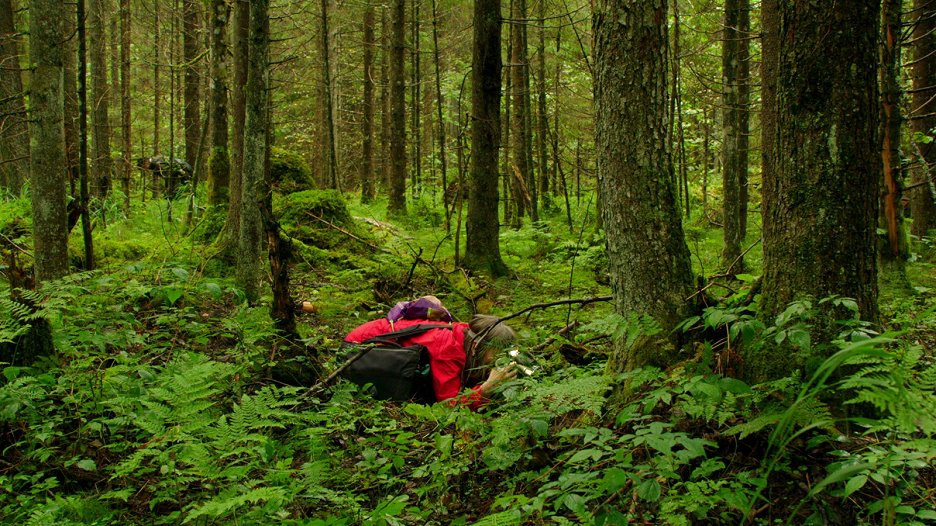 The Art of Looking (2024) | ČSFD.cz