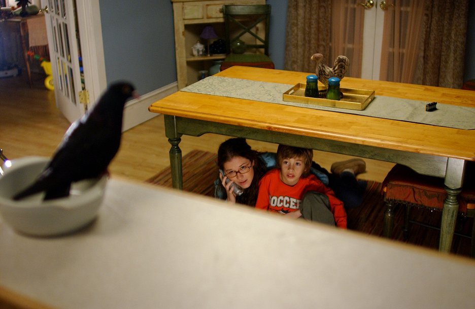 Jimmy Bennett | ČSFD.cz