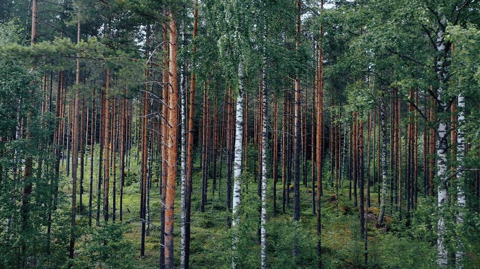 Finland from Above (2021) | Cinematheque | ČSFD.cz