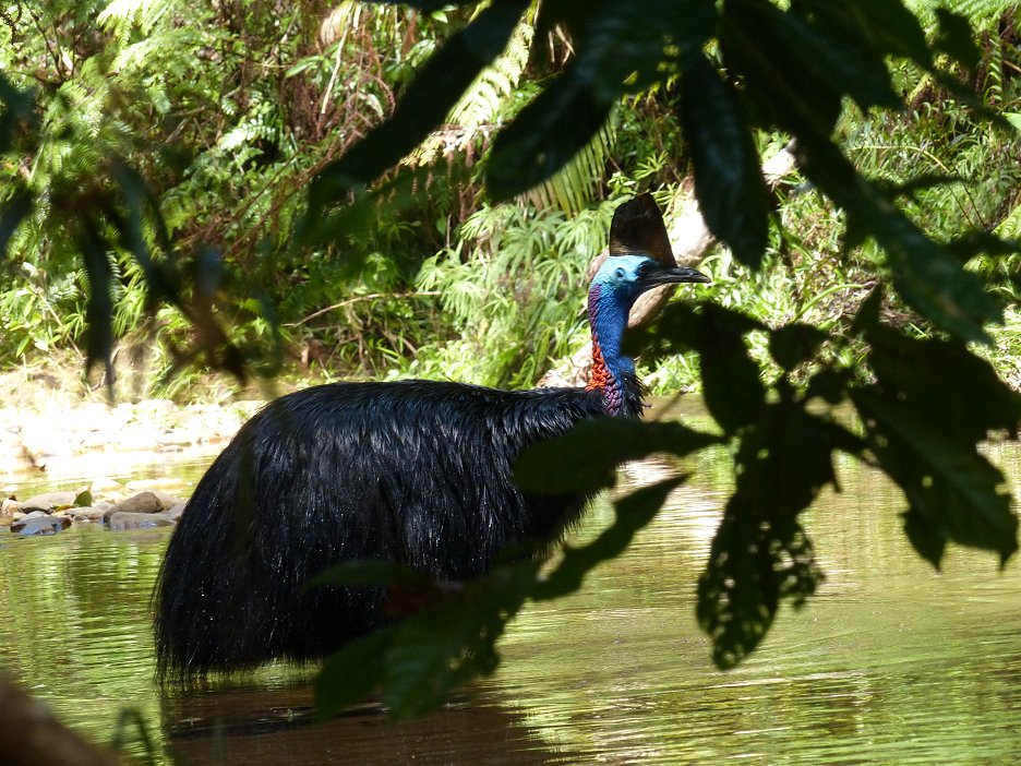 Tajemství trusu (2021) | ČSFD.cz