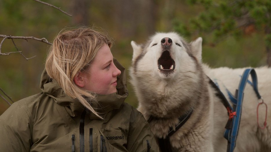 Folktales (2025) | ČSFD.cz
