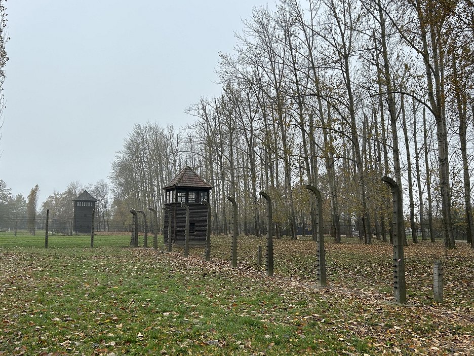 Pravdivý příběh tatéra z Osvětimi (2024) | ČSFD.cz