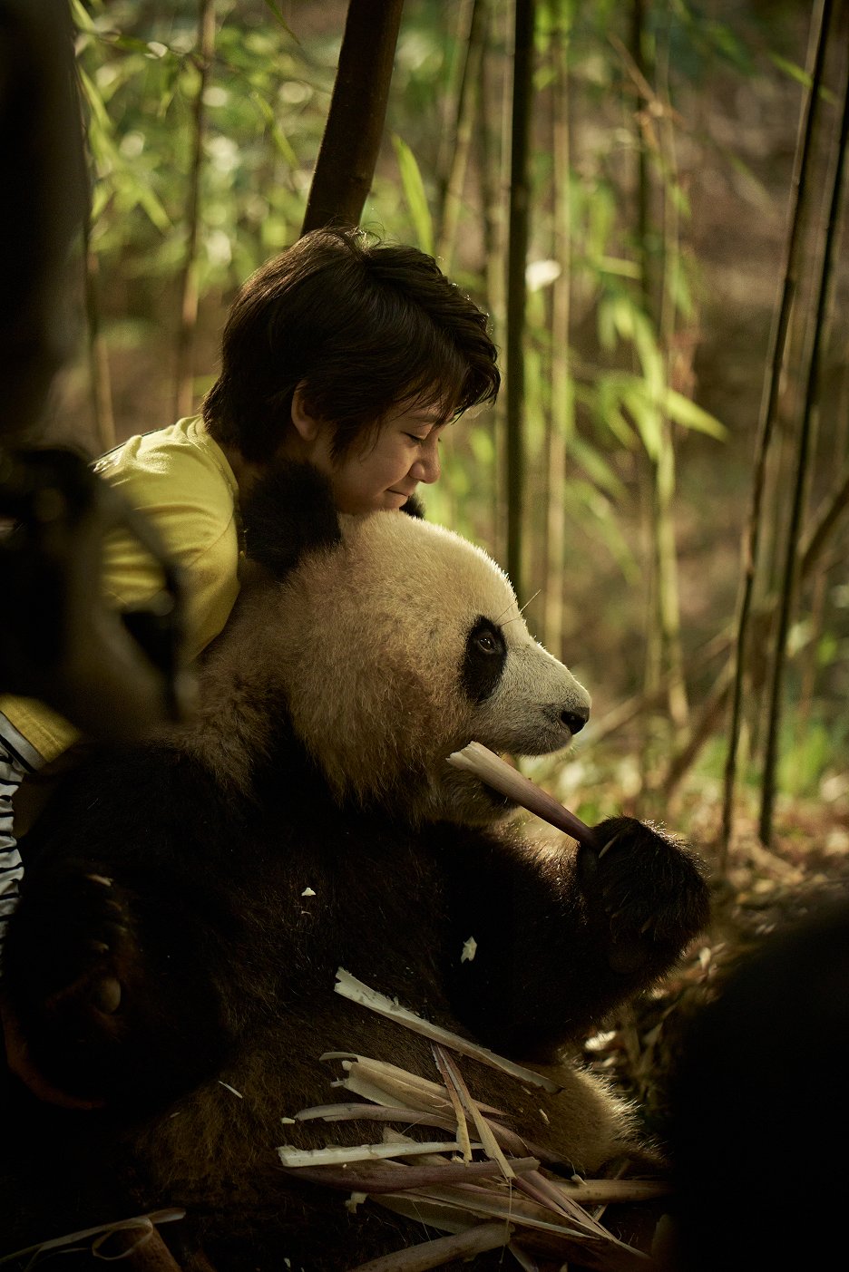 Panda a já (2025) | ČSFD.cz