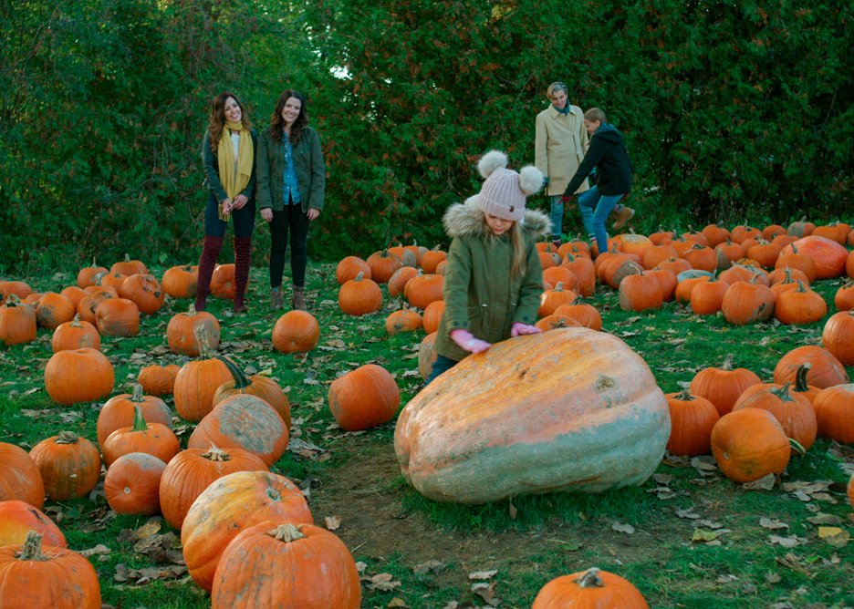 Home for Harvest (2019) | ČSFD.sk