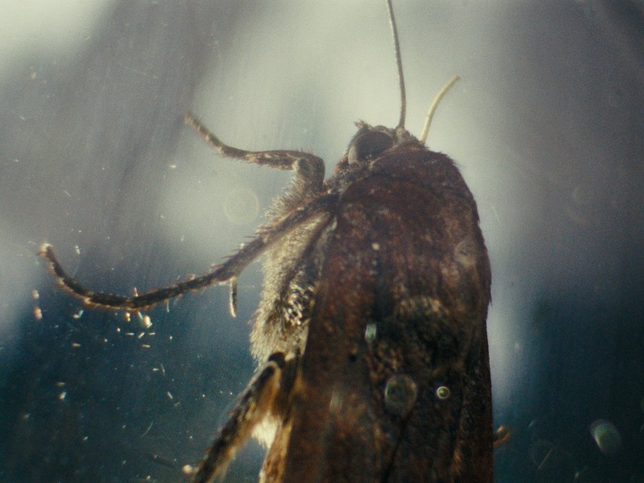 Skrytý svět (2025) | ČSFD.cz