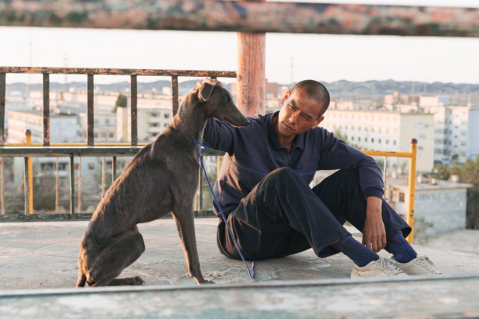 Černý pes (2024) | Soundtracky | ČSFD.cz