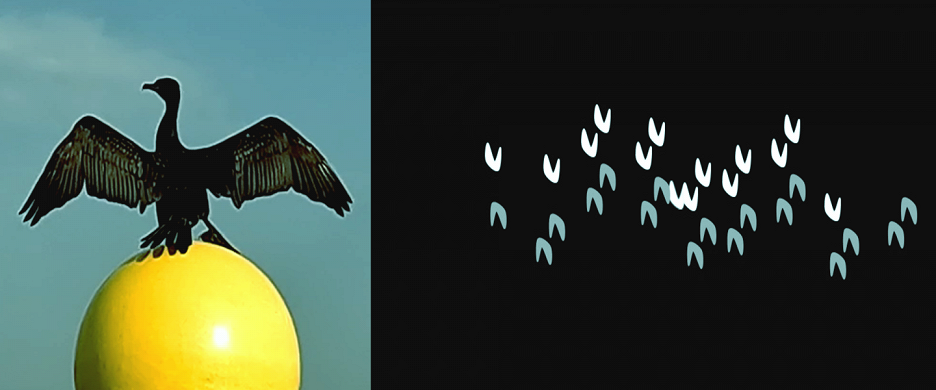 The Cormorant's Shadow (2024) | ČSFD.cz