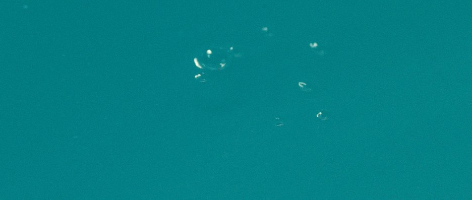 Sen o létě (2025) | ČSFD.cz