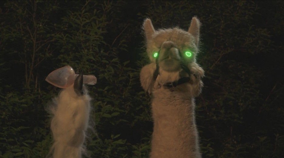 Alpacalypse (2024) | ČSFD.cz