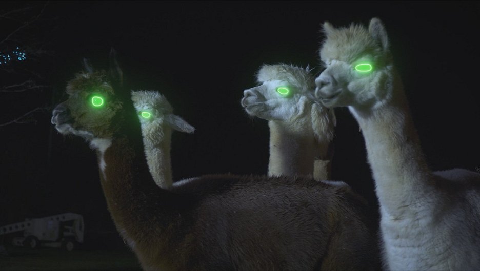 Alpacalypse (2024) | ČSFD.cz