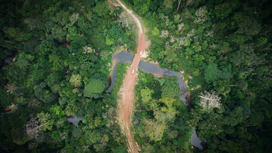 The Wild Ones - Gorillas (E04) (2025) | ČSFD.cz