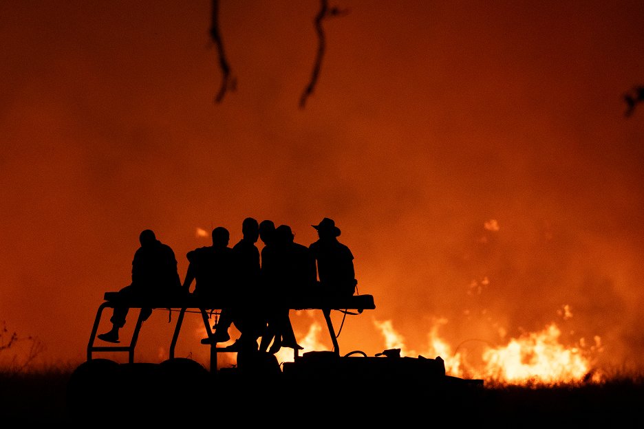 Big Cats 24/7 (2024) | ČSFD.cz