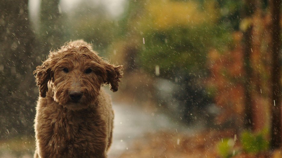 Kabam! - Episode 8 (E08) (2021) | ČSFD.cz